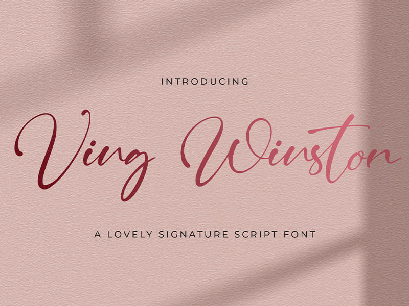 Ving Winston - Signature Font by Stringlabscreative ~ EpicPxls