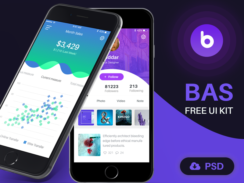 Bas Free Ui Kit by Nasir Uddin ~ EpicPxls