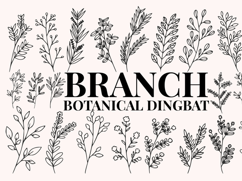 Branch - Botanical Dingbat Font by Letterge Studio ~ EpicPxls