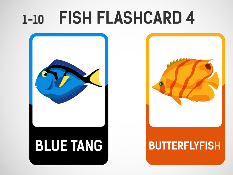 Fish flashcards for kids. Educational cards for preschool. ~ EpicPxls