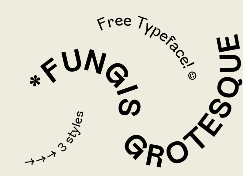 FUNGIS - Free Typeface by Milena Leimig ~ EpicPxls