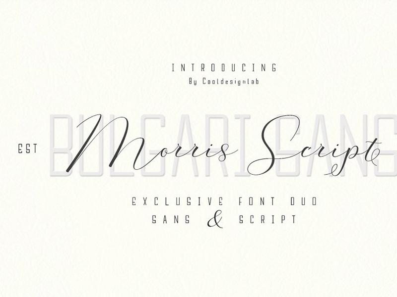 Morris Signature Script Font by Cooldesign Lab ~ EpicPxls