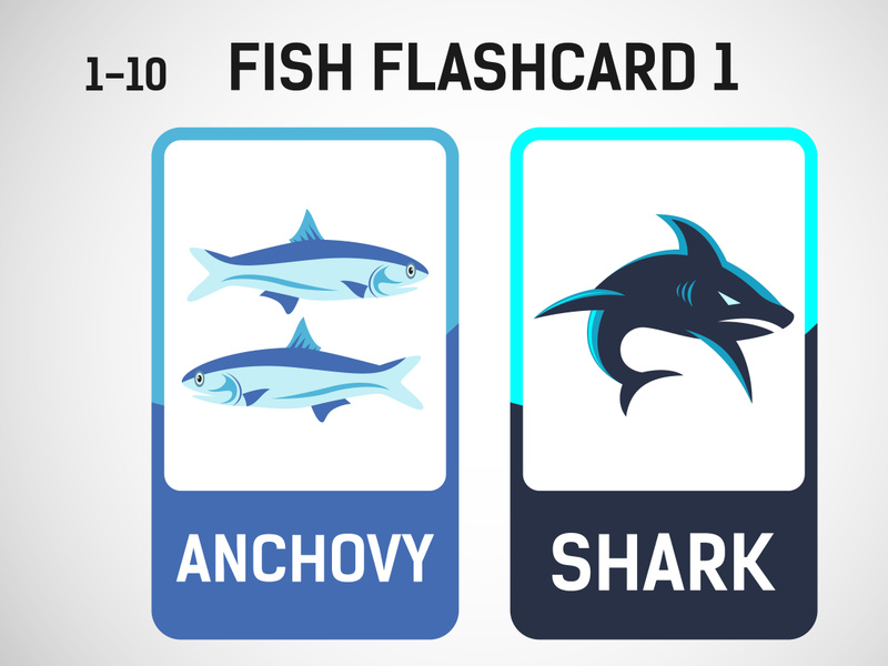 Fish flashcards for kids. Educational cards for preschool. ~ EpicPxls