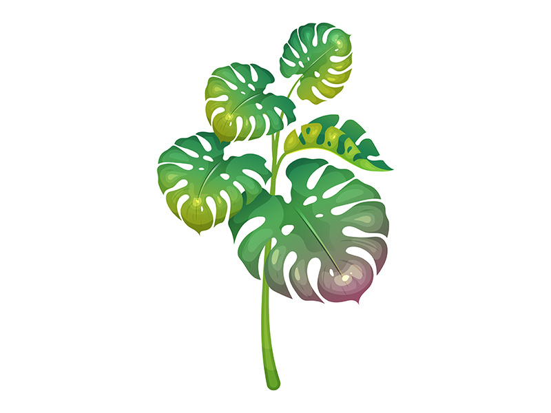Jungle vegetation cartoon vector illustration by IMG ~ EpicPxls