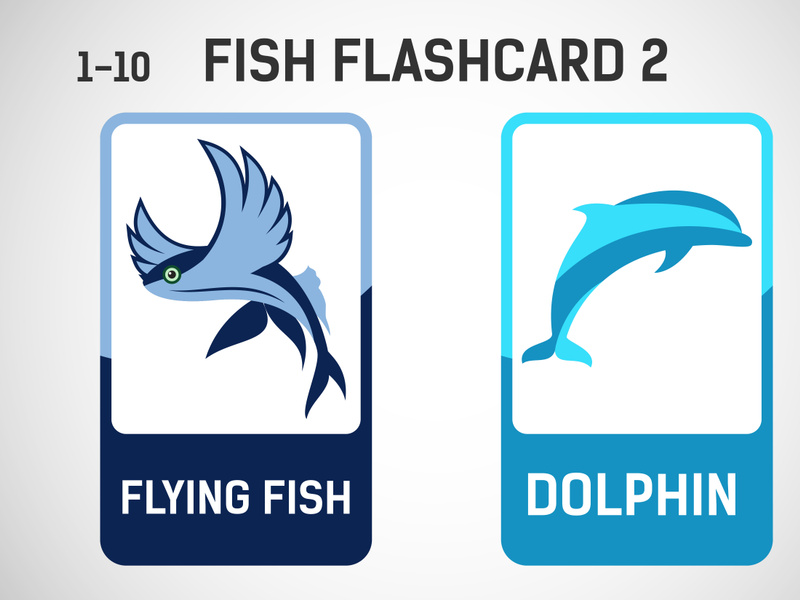 Fish flashcards for kids. Educational cards for preschool. ~ EpicPxls