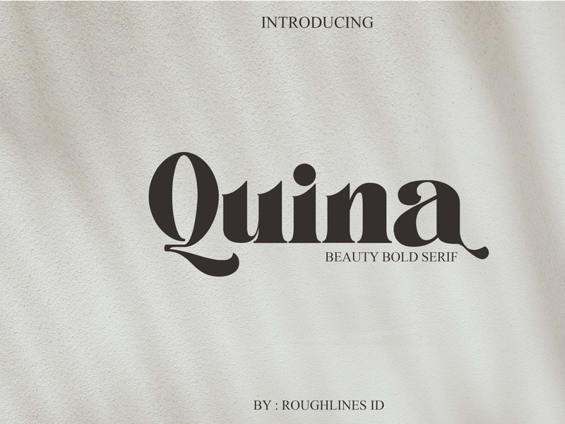Quina Beauty Bold Serif by Roughlines ID ~ EpicPxls