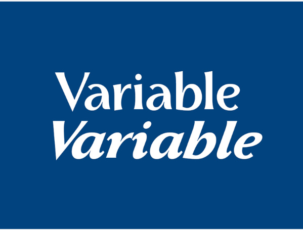 Skiff variable font family by Andriy Dykun ~ EpicPxls