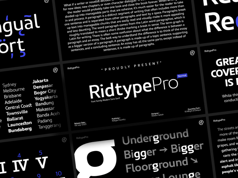 Ridtype Pro - Font Family by Ridtype Foundry ~ EpicPxls
