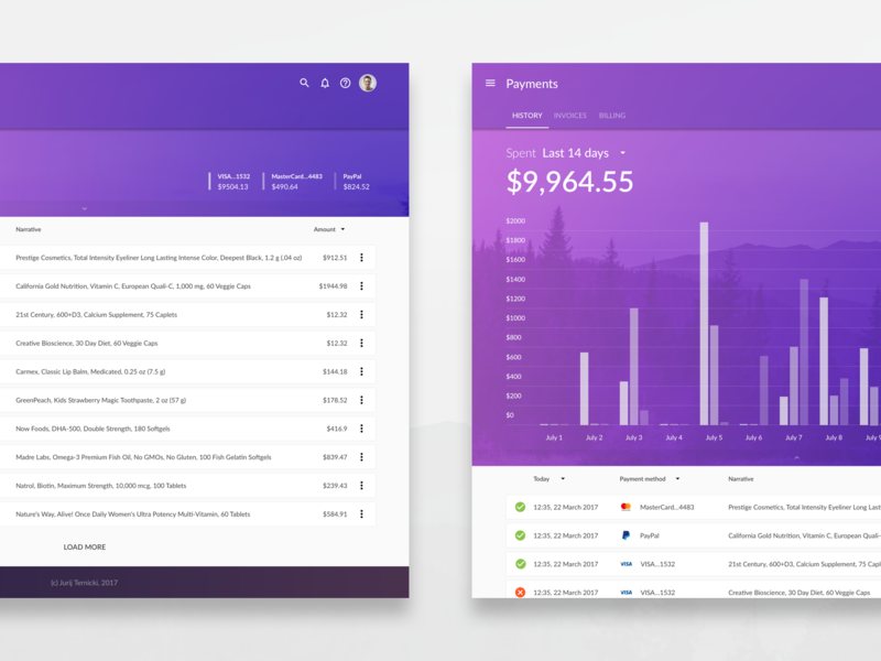 Payment History Template by Jurij Ternicki ~ EpicPxls