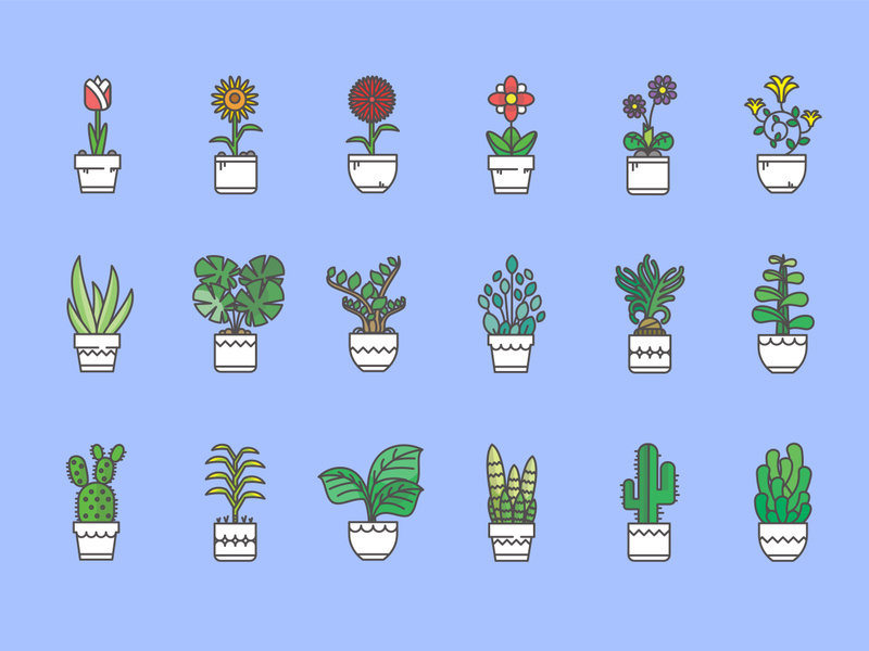 Indor Flower Vector Illustration by SB Trading ~ EpicPxls